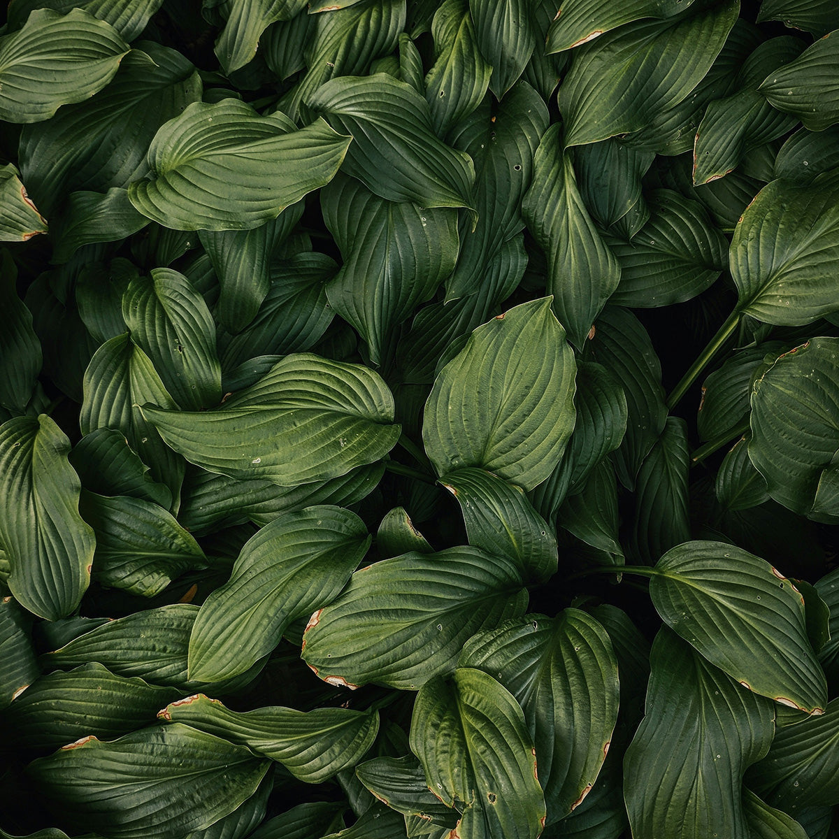 WINTER SALE - tot wel 40% – Viltstore